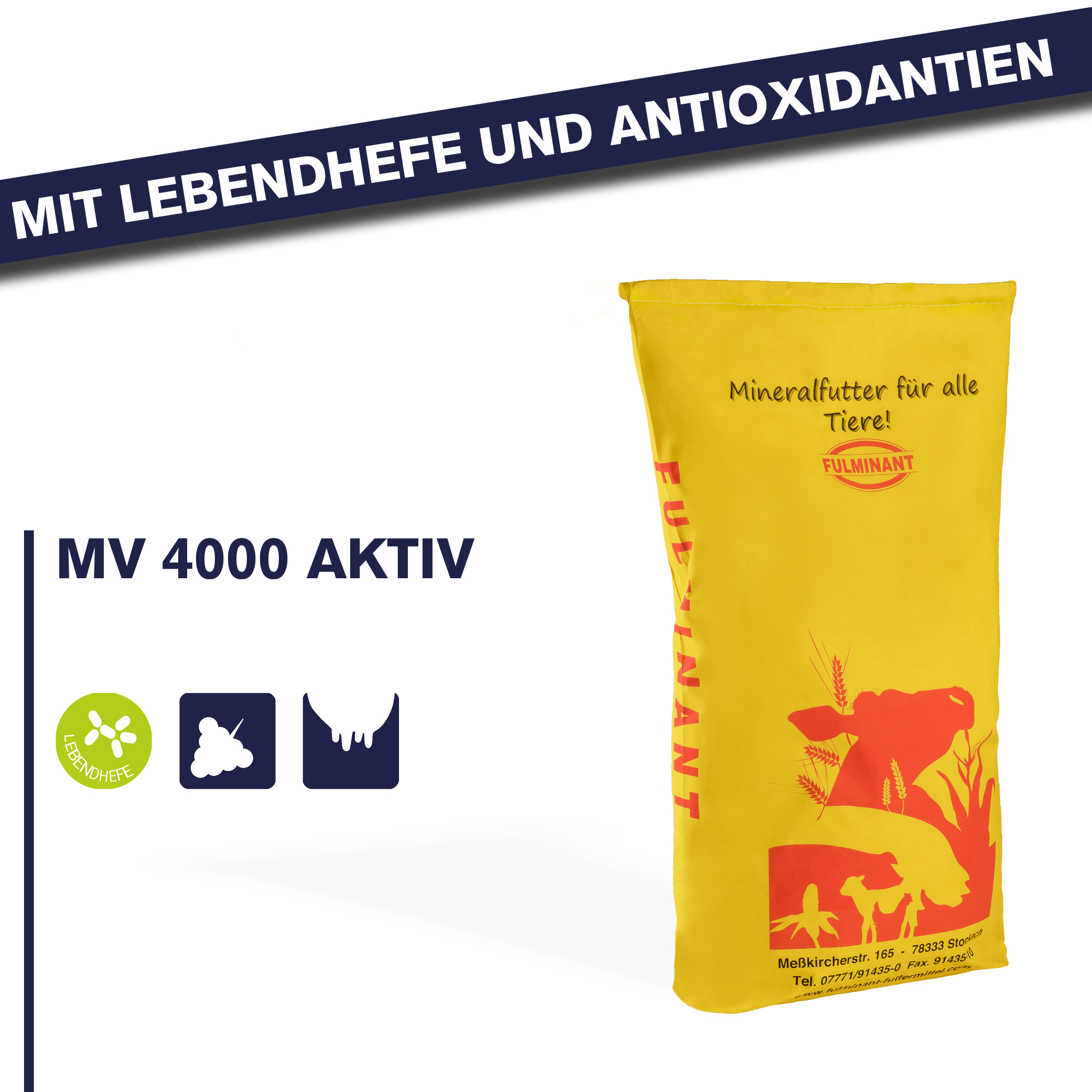 Fulminant MV 4000 Aktiv